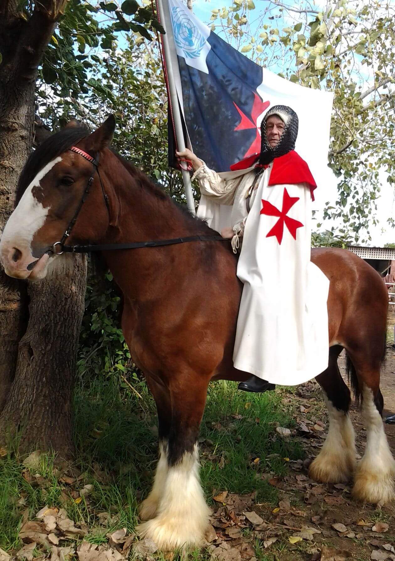 Gallery – Templar Knights of Australia